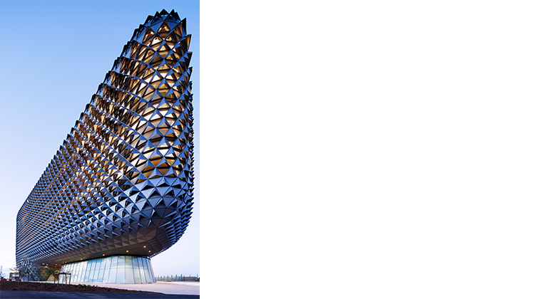 Raven Case Study | South Australian Health and Medical Research ...