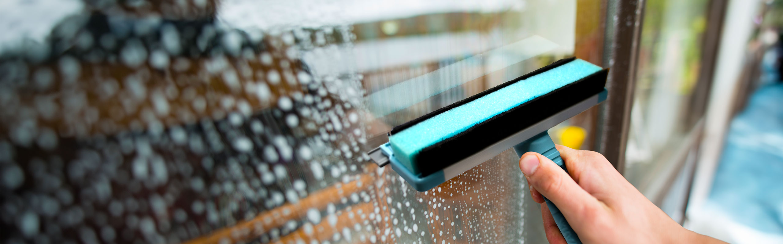 Consumer - Window Cleaners | Raven